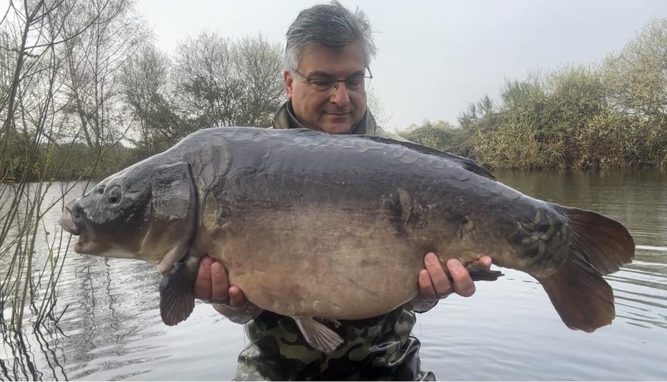 Mr Grey | Total Carp